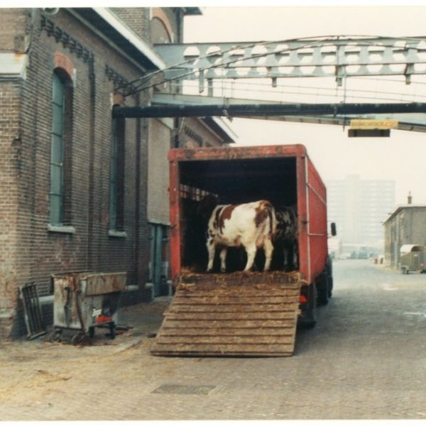 Gemeentelijk slachthuis (1911 – 1985) – SHIE